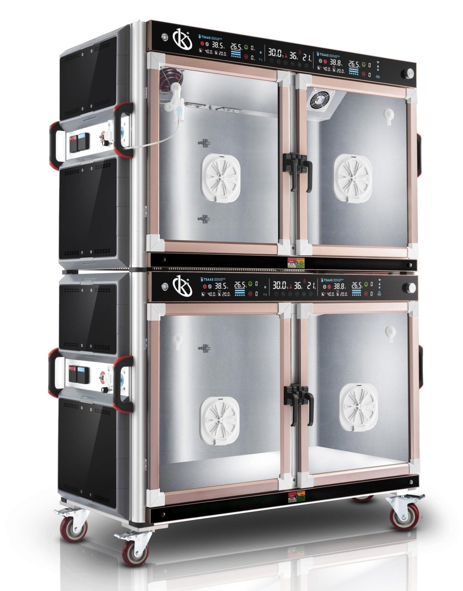 Veterinary ICU Units: Safety and Control in Critical Procedures - Kalstein